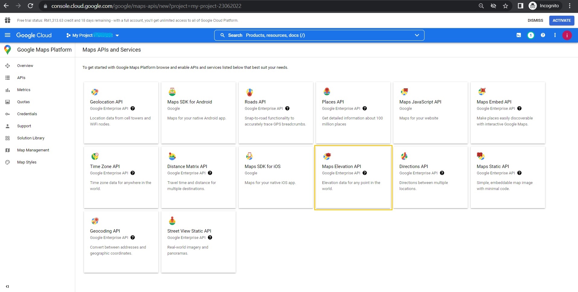 How to Get API Key for Google Earth Import - MES Innovation Sdn Bhd
