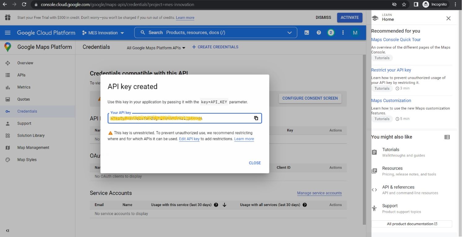 How to Get API Key for Google Earth Import - MES Innovation Sdn Bhd